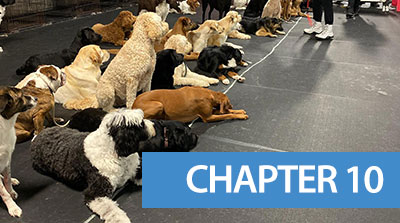 Group Management Course – PackPro Training