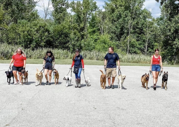 Pricing & FAQ – PackPro Training