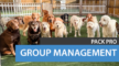 Group Management – PackPro Training