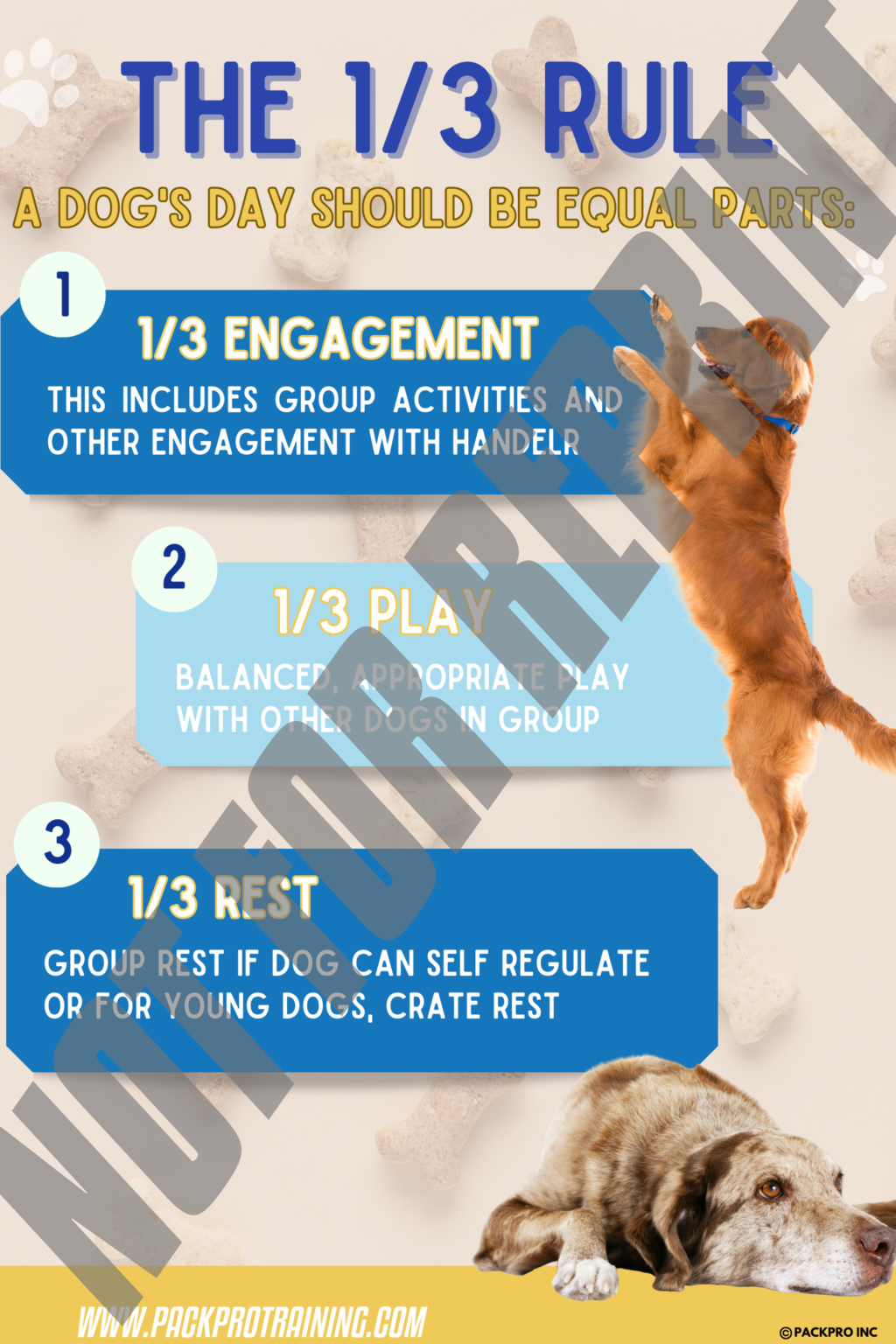 Poster: The 1/3 Rule – PackPro Training