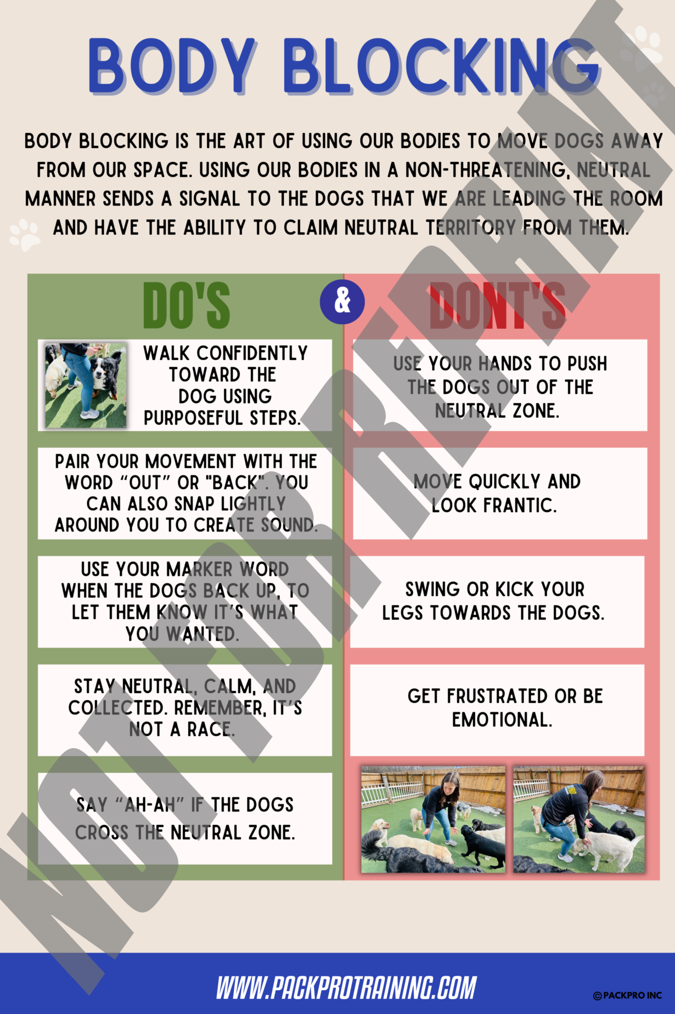 Poster: Body Blocking – PackPro Training