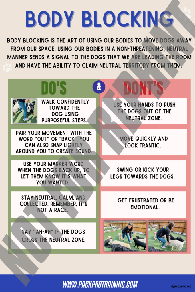 Poster: Body Blocking – PackPro Training