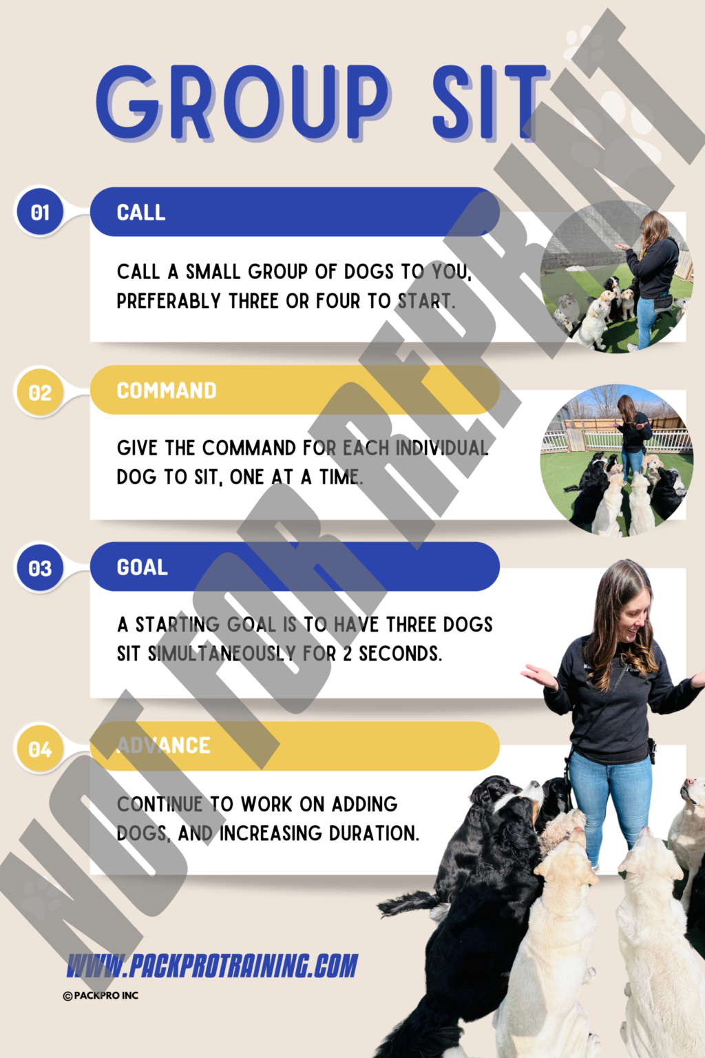 Poster: Group Sit – PackPro Training