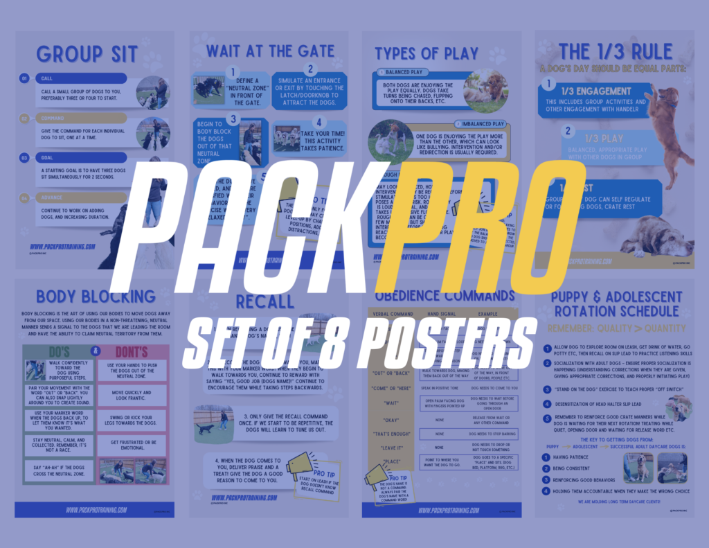 Poster: Complete Set of 8 – PackPro Training
