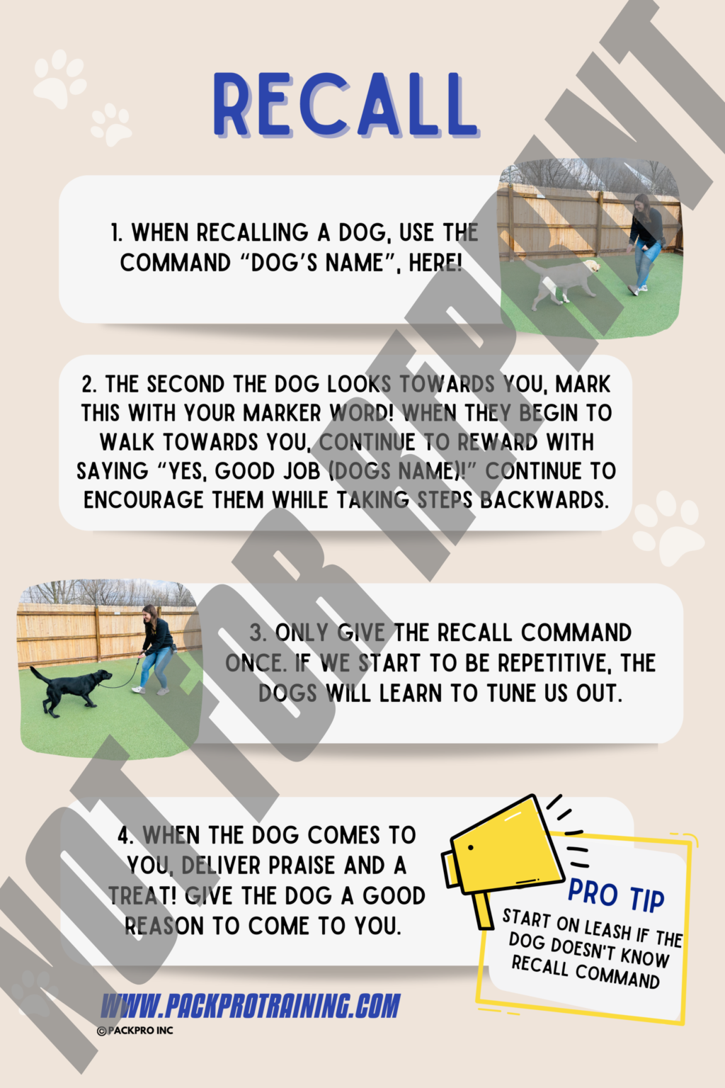 Poster: Recall – PackPro Training