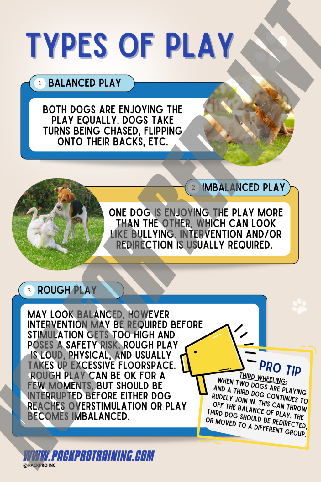 Poster: Types of Play – PackPro Training