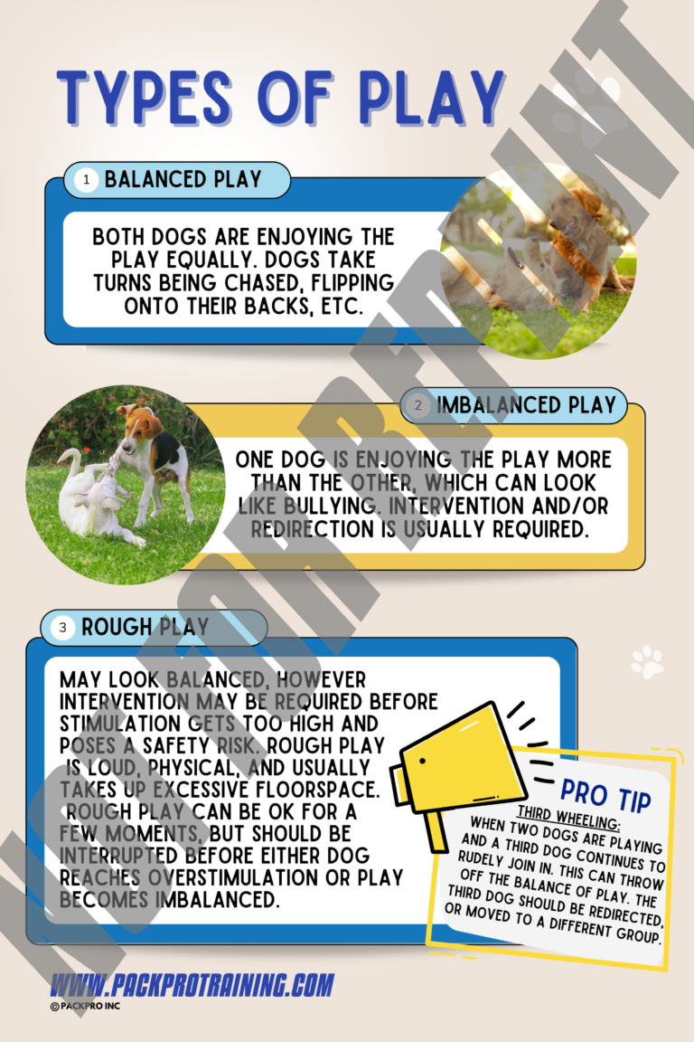 Poster: Types of Play – PackPro Training
