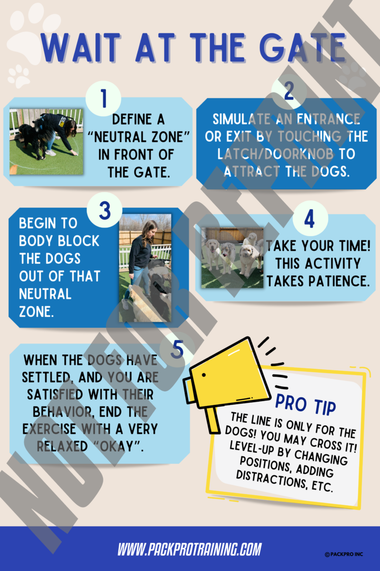 Poster: Wait at the Gate – PackPro Training