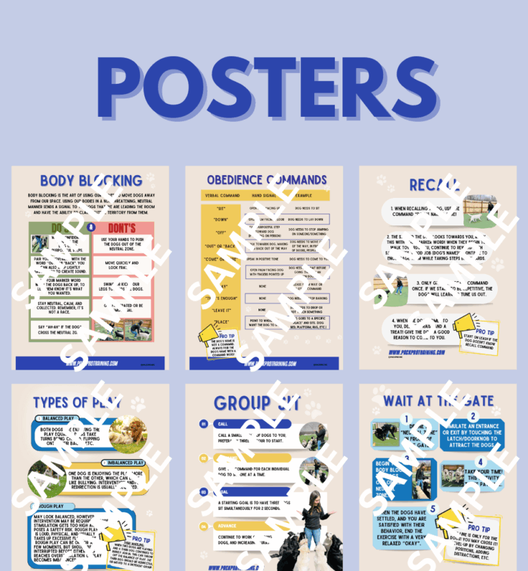 Shop – PackPro Training